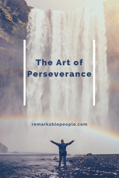 Guy Kawasaki - The Art of Perseverance